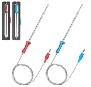Mastering the Perfect BBQ: How Temperature Probes and Sensors Make All ...